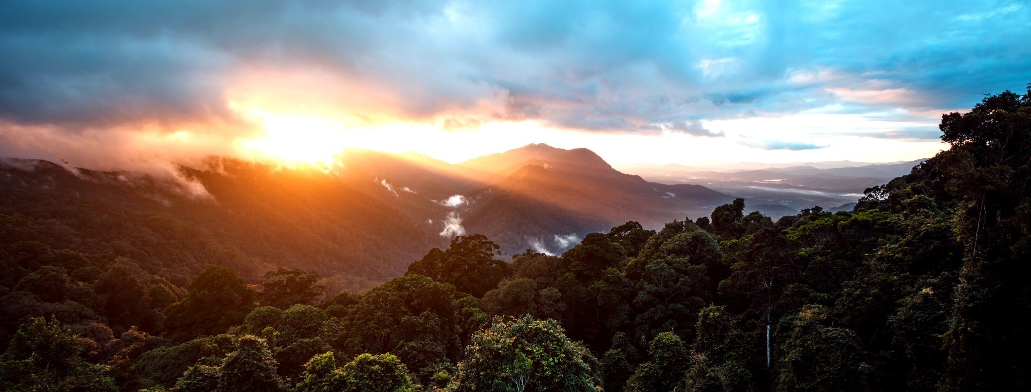 Back to Nature in the Bellingen Shire