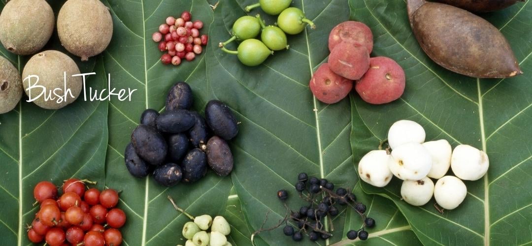 A Glimpse into Australia's Indigenous Heritage: Worimi Culture