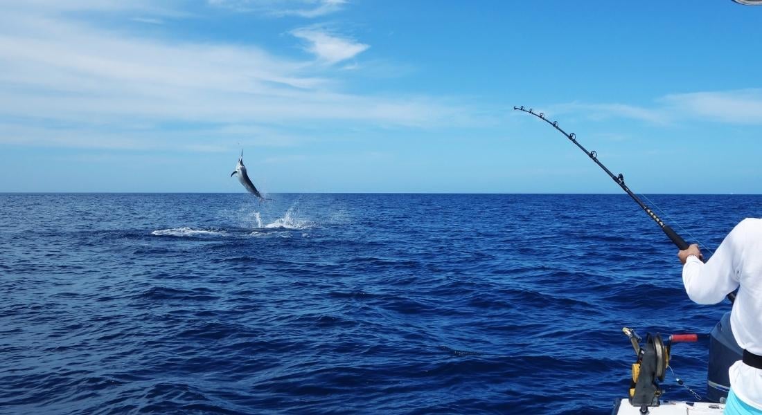 Our Guide to Fishing in Port Stephens