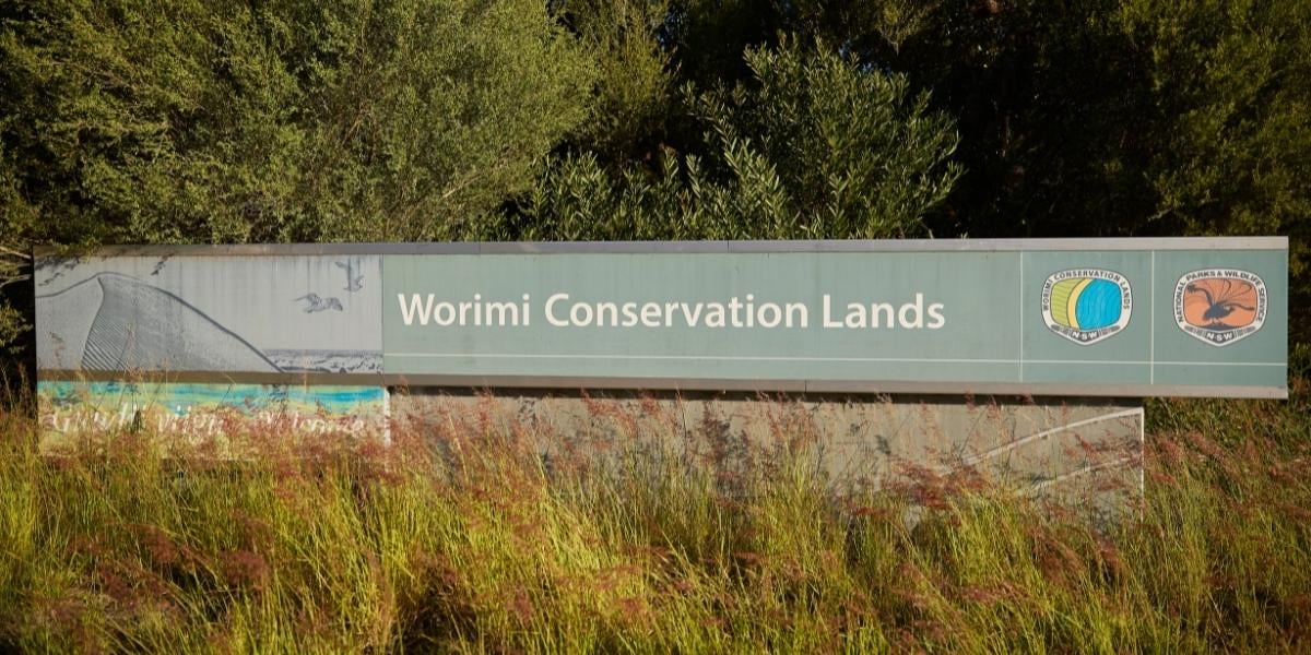 The Best Bushwalks in Port Stephens