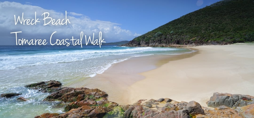 Exploring The Treasure Trove of Tomaree National Park