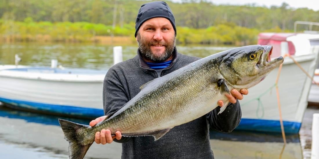 Our guide to fishing in Sussex Inlet on the NSW South Coast