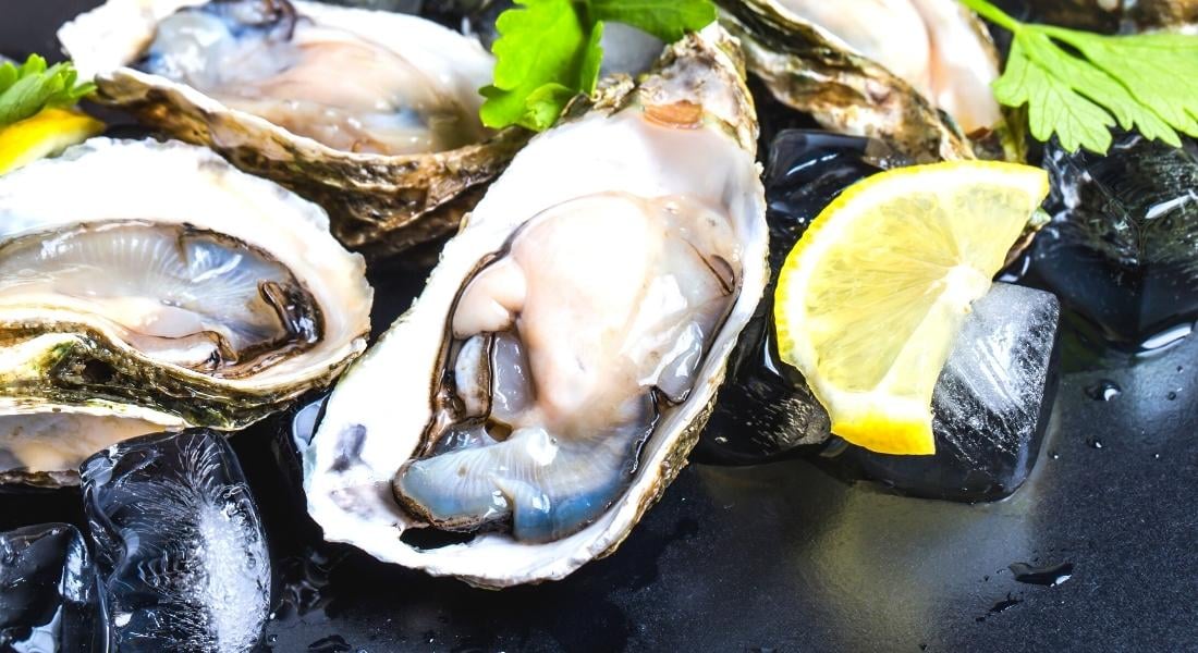 Our Guide to Fishing in Urunga