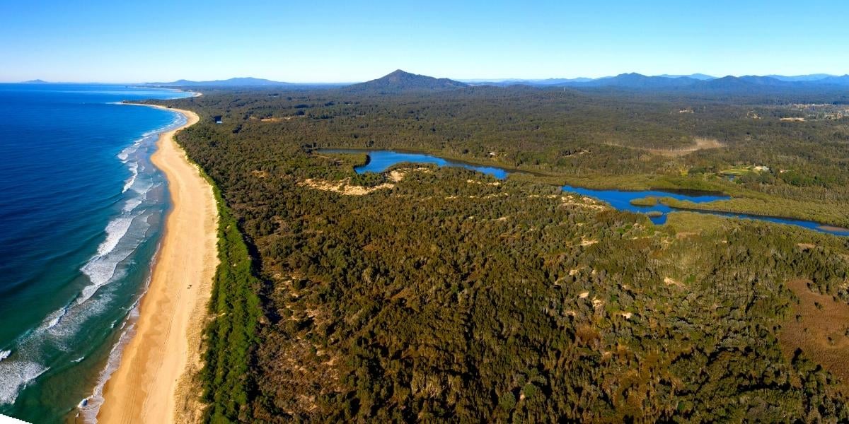 The best nature walks in and around the Bellingen Shire